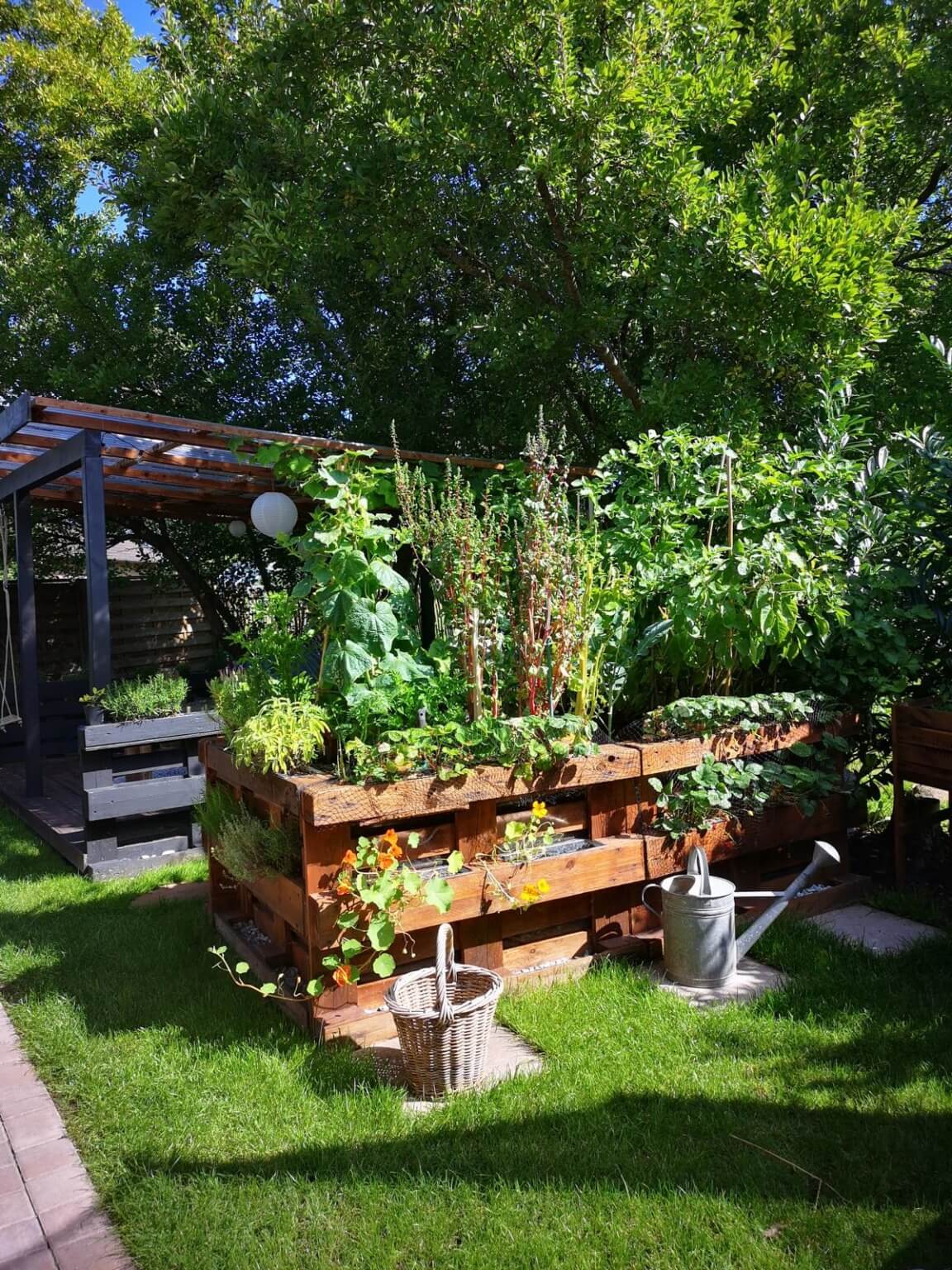 Hochbeet aus Paletten | DIY 2023 - Bauen - Schichten - Anlegen