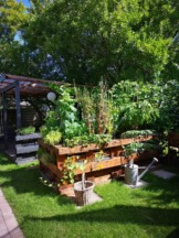 Hochbeet aus Paletten | DIY 2023 - Bauen - Schichten - Anlegen